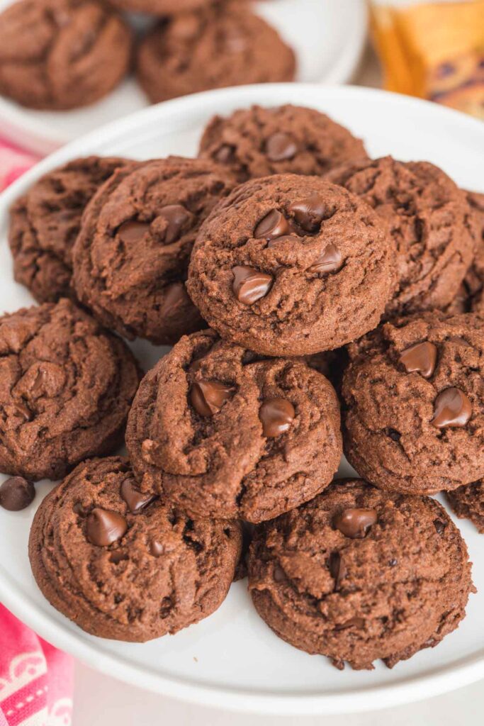 Double Chocolate Chip Cookies with Pudding - Fun Cookie Recipes