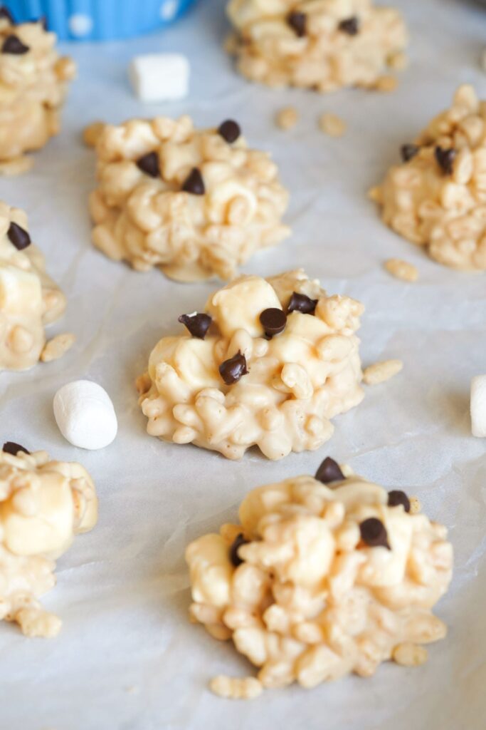 No-Bake Avalanche Cookies - Fun Cookie Recipes