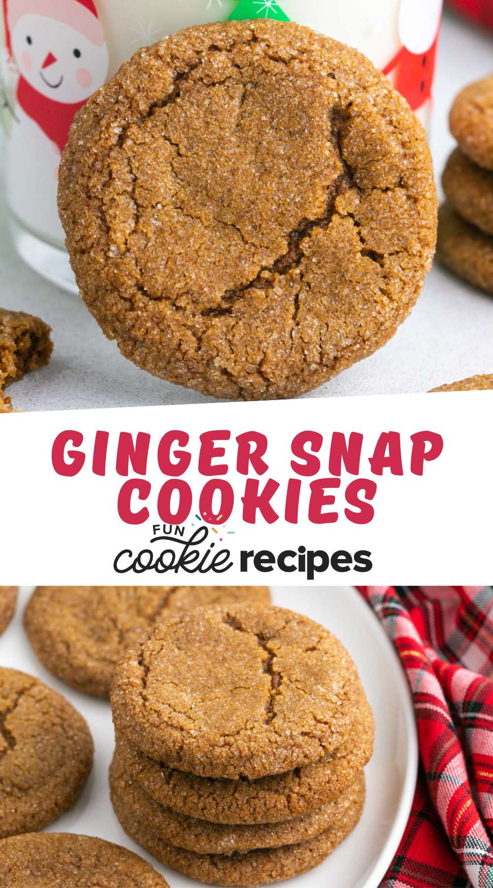 Ginger Snaps Recipe - Fun Cookie Recipes
