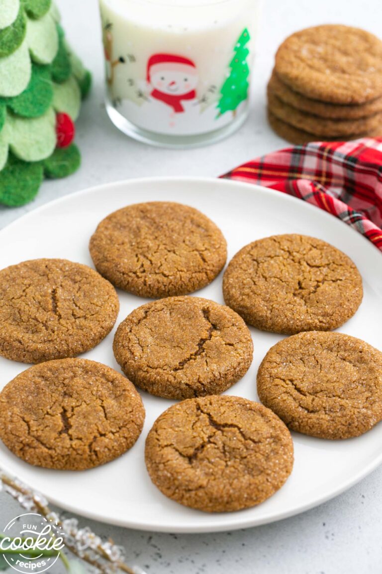 Ginger Snaps Recipe - Fun Cookie Recipes