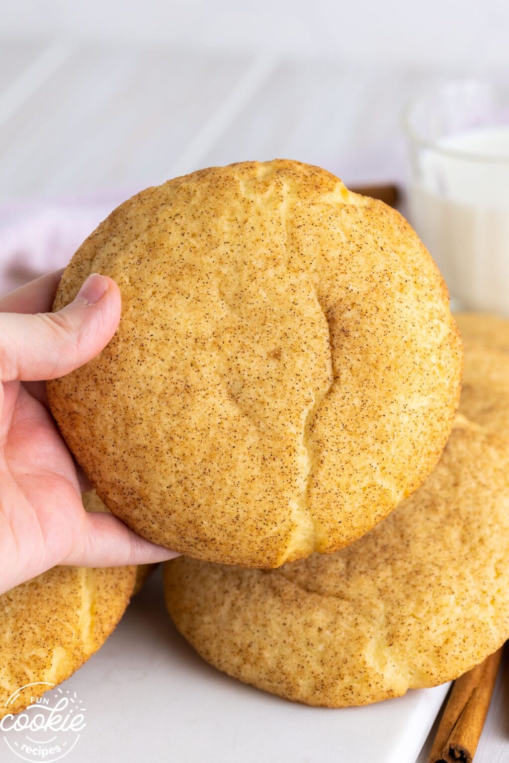 Jumbo Soft Snickerdoodle Recipe - Fun Cookie Recipes