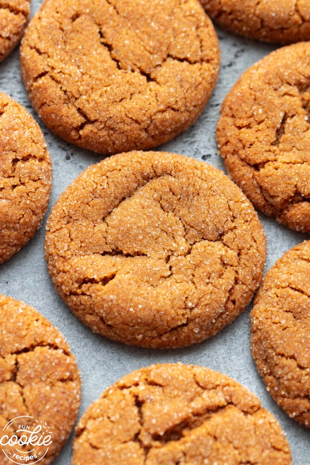Molasses Cookies Recipe - Soft and Chewy Ginger Cookies