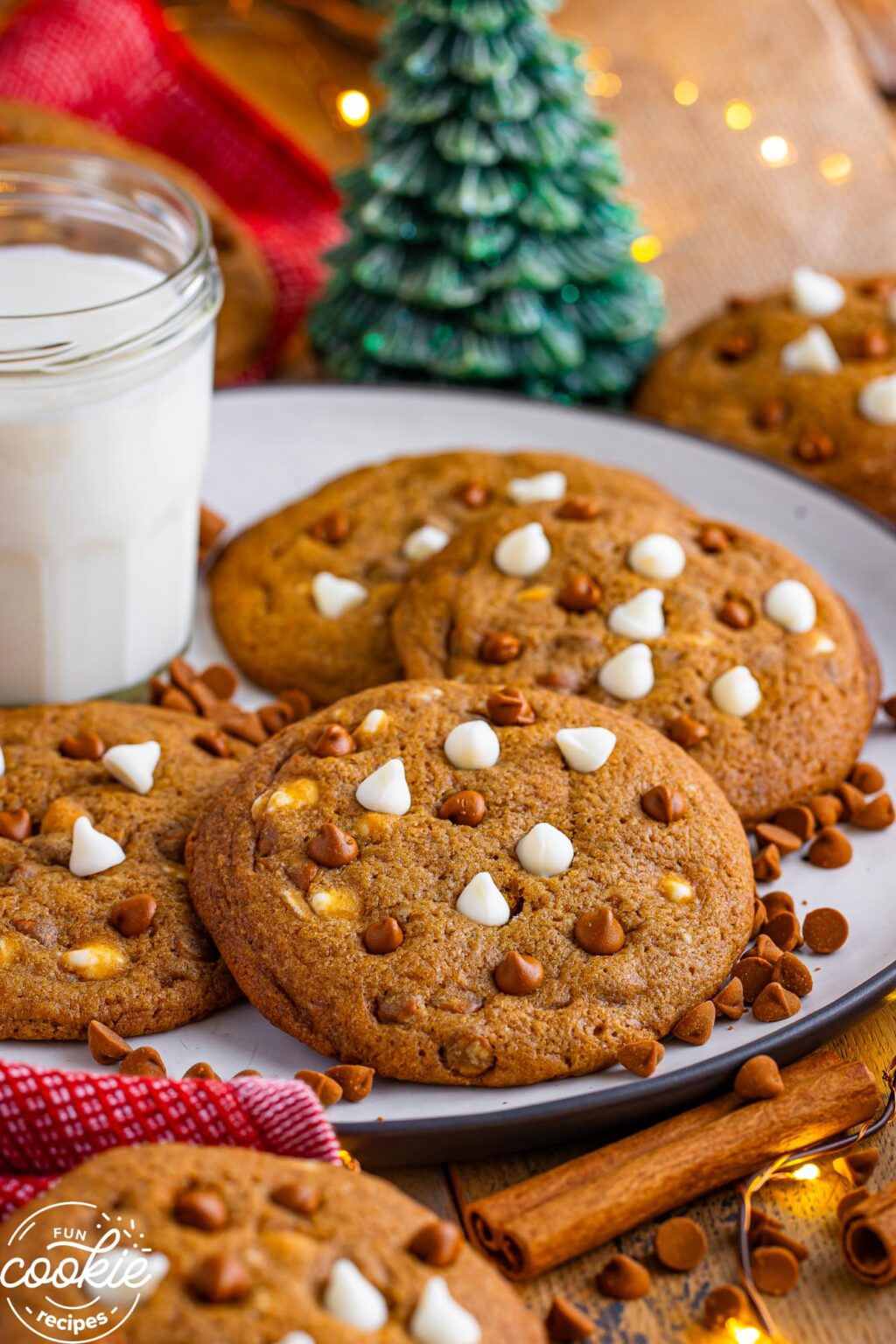 Gingerbread Chocolate Chip Cookies - Fun Cookie Recipes