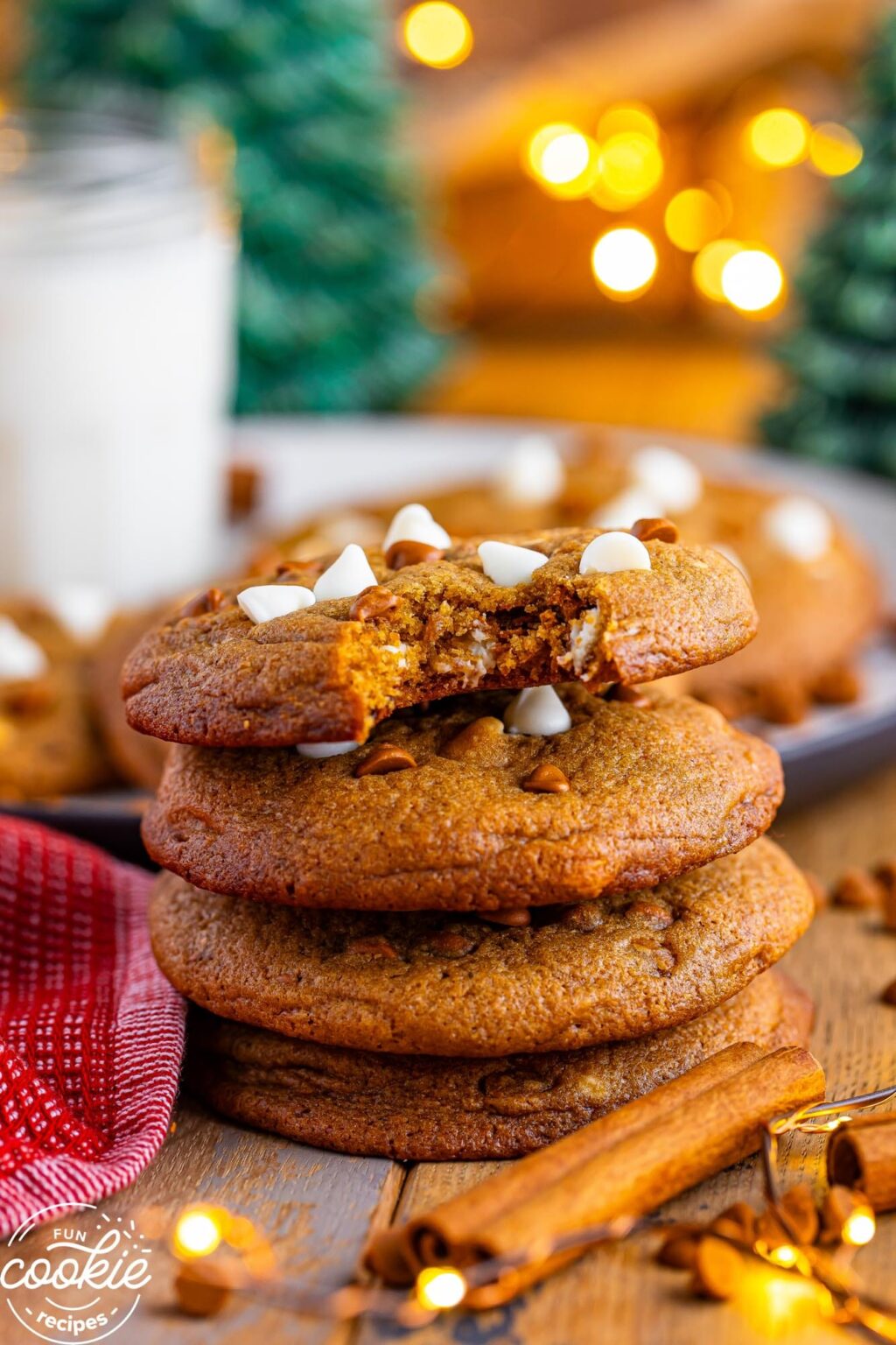 Gingerbread Chocolate Chip Cookies - Fun Cookie Recipes