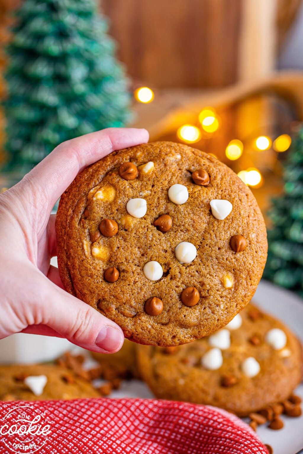 Gingerbread Chocolate Chip Cookies - Fun Cookie Recipes