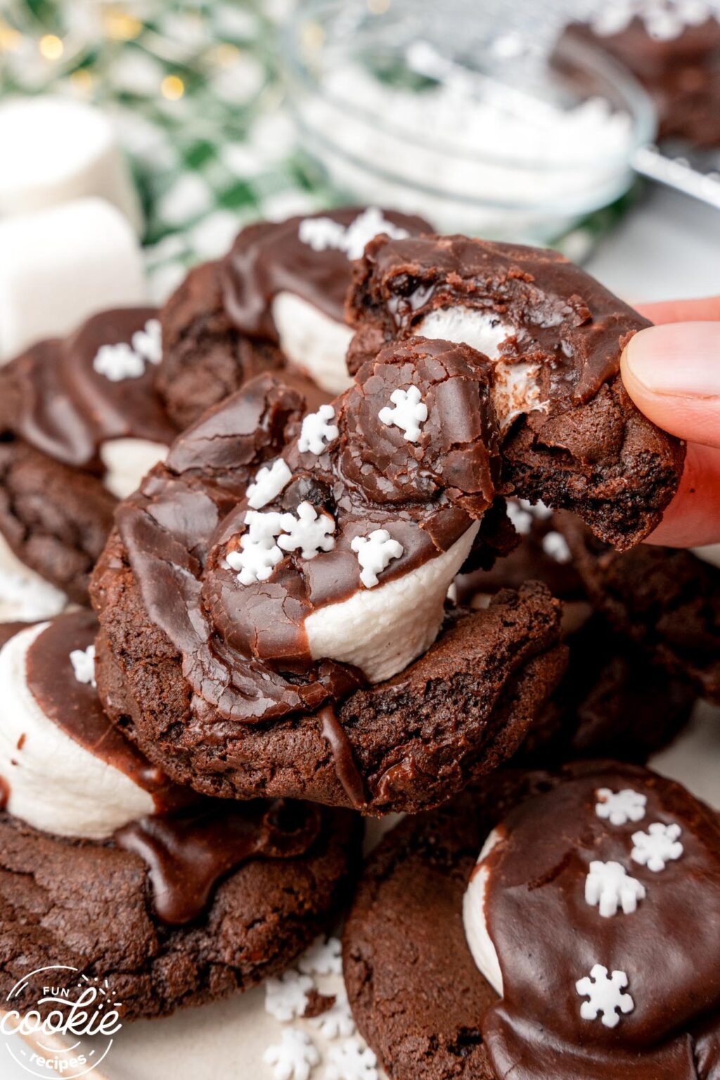 Hot Cocoa Cookies - Fun Cookie Recipes