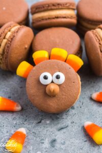 Thanksgiving Turkey Macarons Recipe - Fun Cookie Recipes