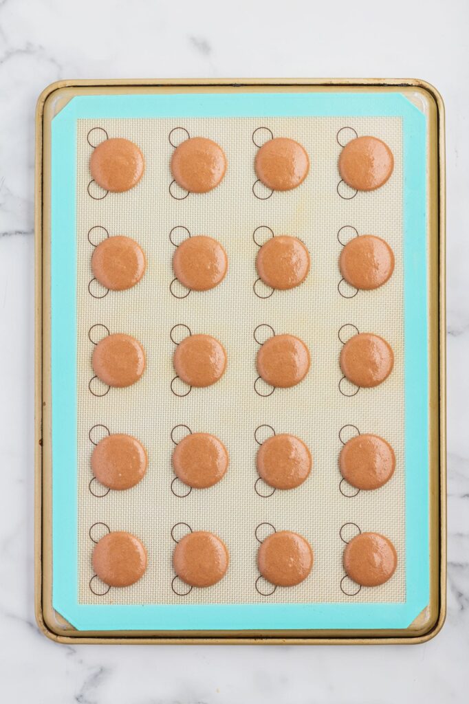 Thanksgiving Turkey Macarons Recipe - Fun Cookie Recipes