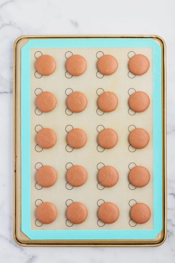 Thanksgiving Turkey Macarons Recipe - Fun Cookie Recipes