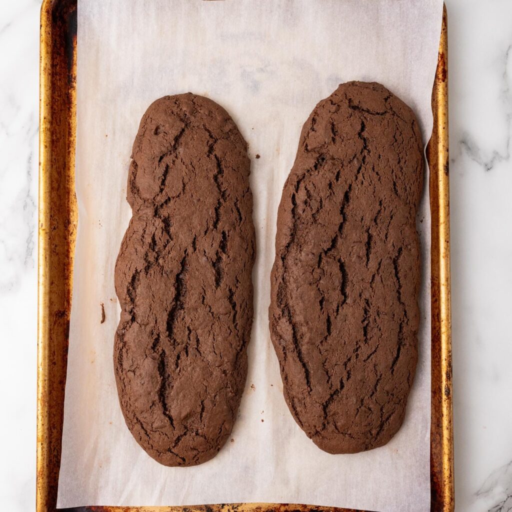 Chocolate Biscotti - Fun Cookie Recipes