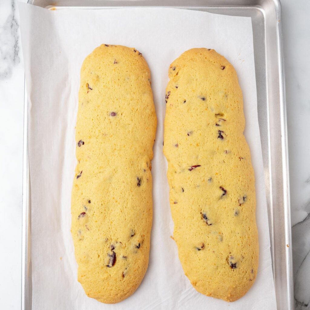 Orange Cranberry Biscotti - Fun Cookie Recipes