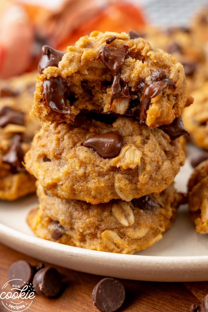Sweet Potato Cookies with Chocolate Chips - Fun Cookie Recipes