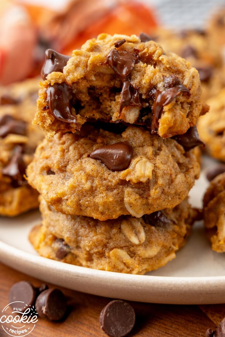 Sweet Potato Cookies with Chocolate Chips - Fun Cookie Recipes